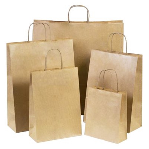 Paper Carry Bags | ABL Distribution