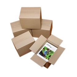Buy A4 Storage Box Online | ABL Distribution